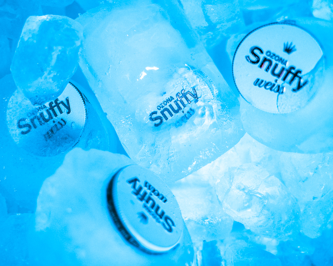 Inny wymiar współpracy z influencerami. Ozona Snuffy Weiss – case study ...